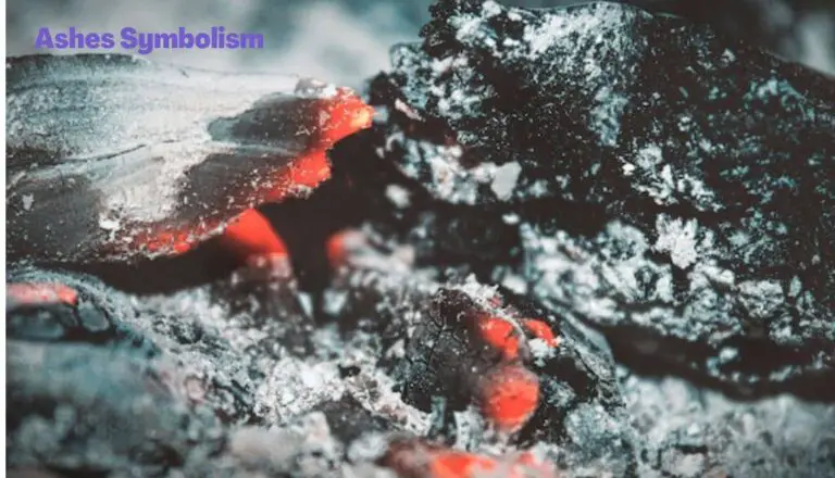 Ashes Symbolism (6 Hidden Meanings)