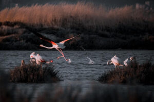 Lake Symbolism: Meanings in Dreams, Bible & Real Life