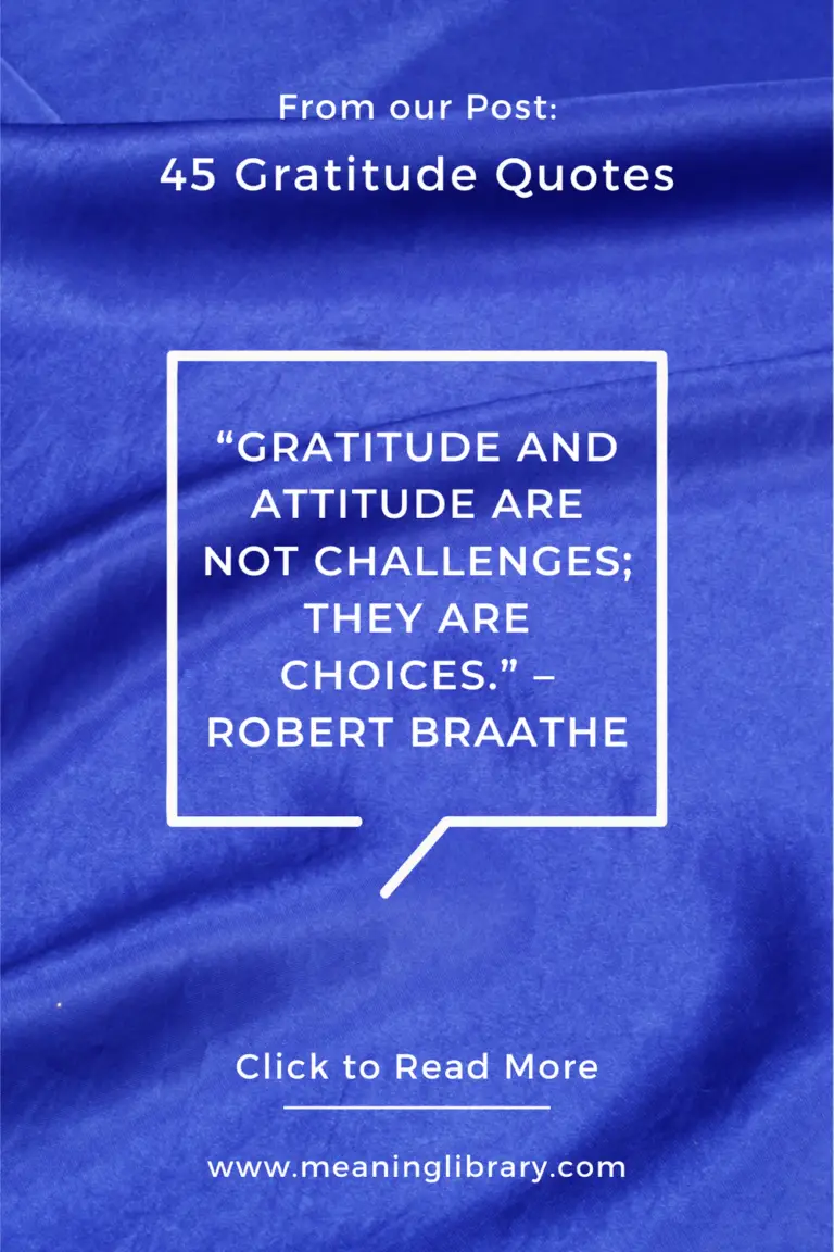 45 Gratitude Quotes That Will Transform Your Perspective - Meaning Library