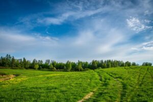 What Color Represents Hope? (Discover the Top 2 Hues)